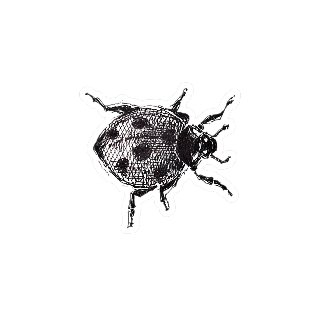 The Ladybug Sticker | Bug Art by Penswrld, Scientific Illustration ...