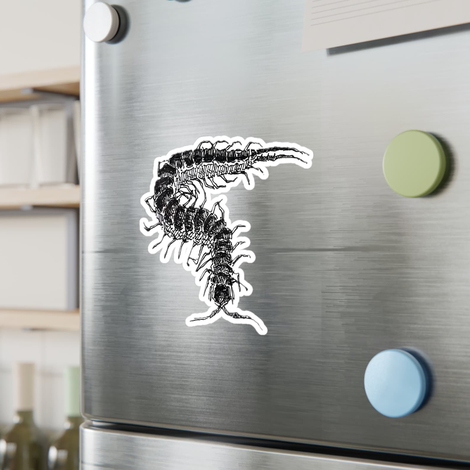 The Centipede Sticker | Bug Art by Penswrld, Scientific Illustration ...