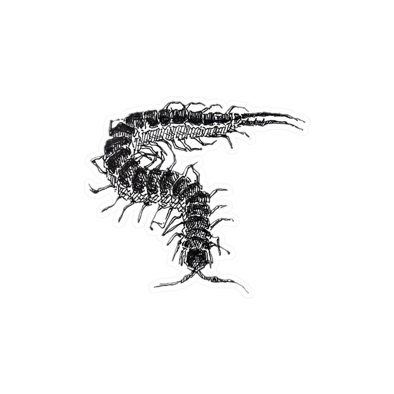 The Centipede Sticker | Bug Art by Penswrld, Scientific Illustration ...
