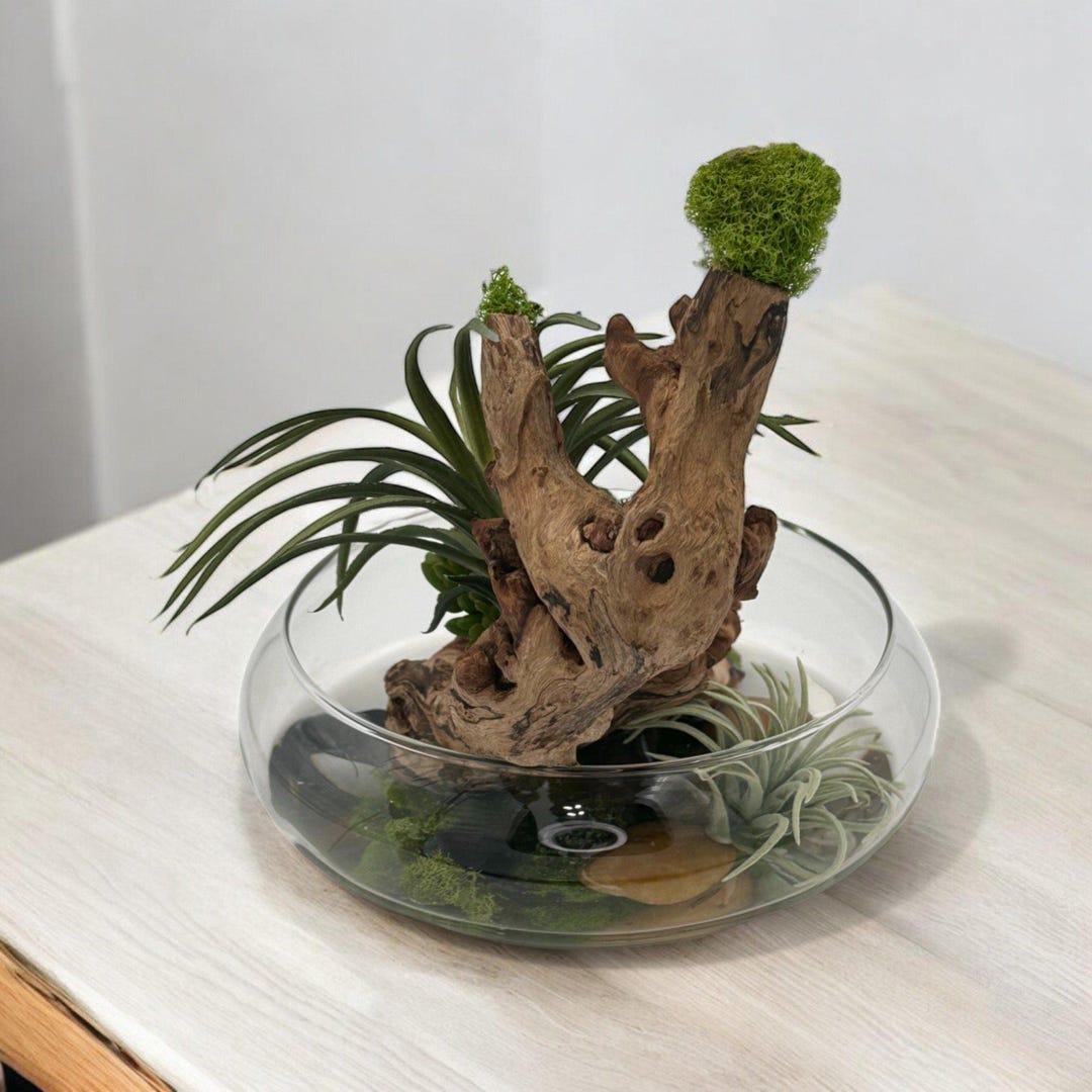Succulent Design in Clear Round Glass Vase With Epoxy | Unique ...