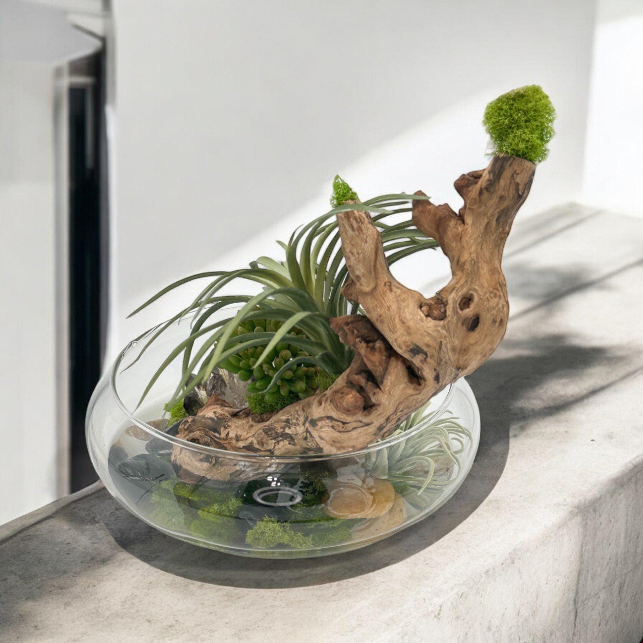 Succulent Design in Clear Round Glass Vase With Epoxy | Unique ...