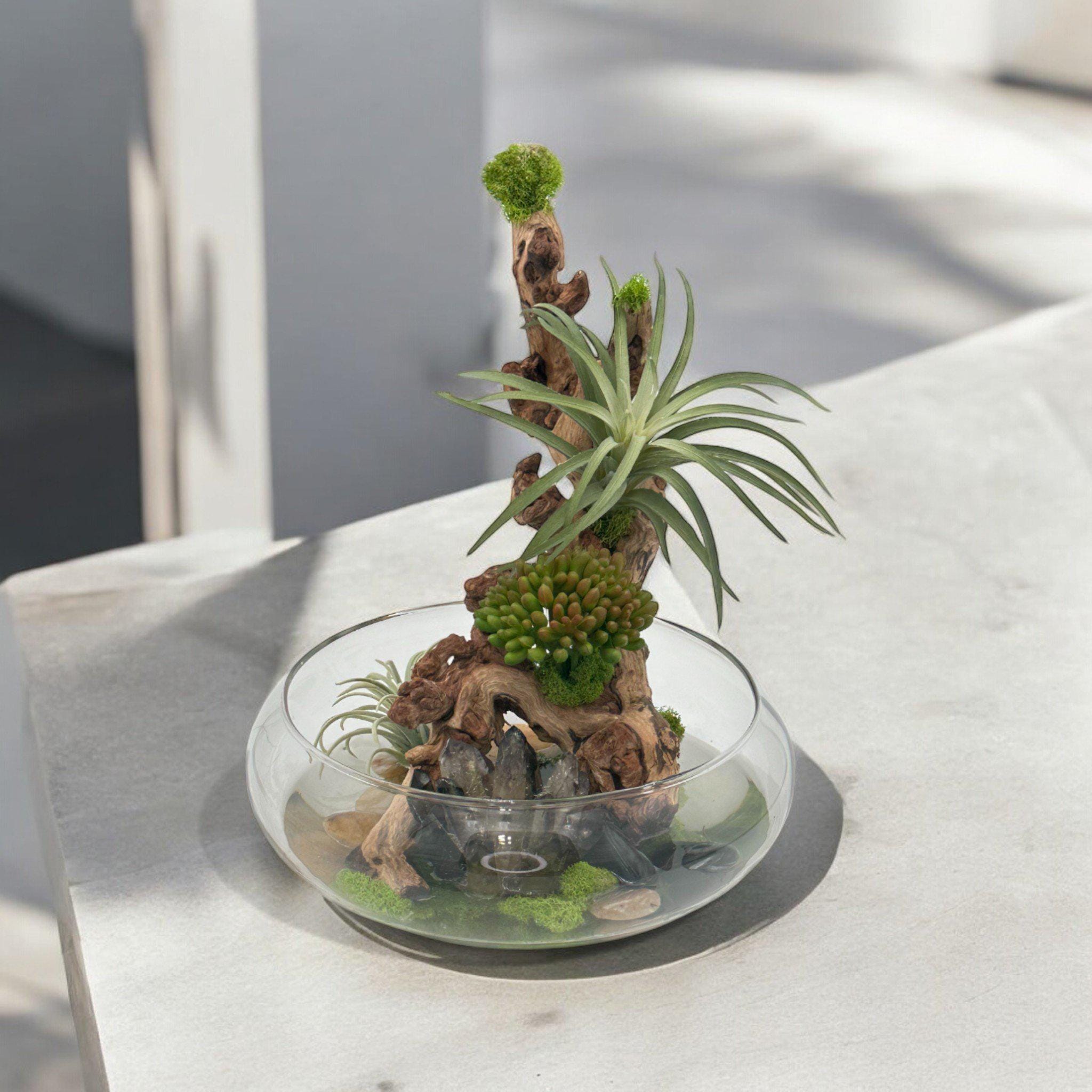 Succulent Design in Clear Round Glass Vase With Epoxy Unique Succulent ...