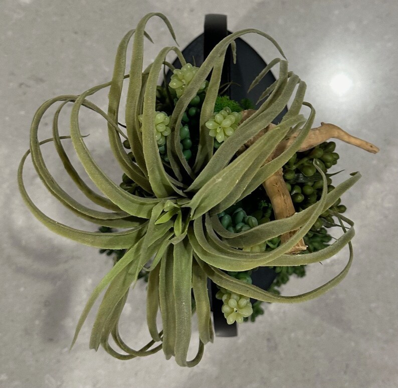 Succulent Design in Black Tall Metal Vase | Rare and Unique Succulent ...