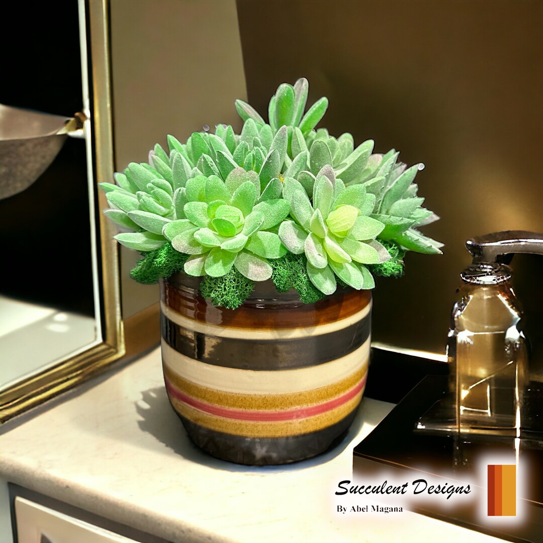 Succulent Design in Multicolor Circular Ceramic Vase | One of a Kind ...