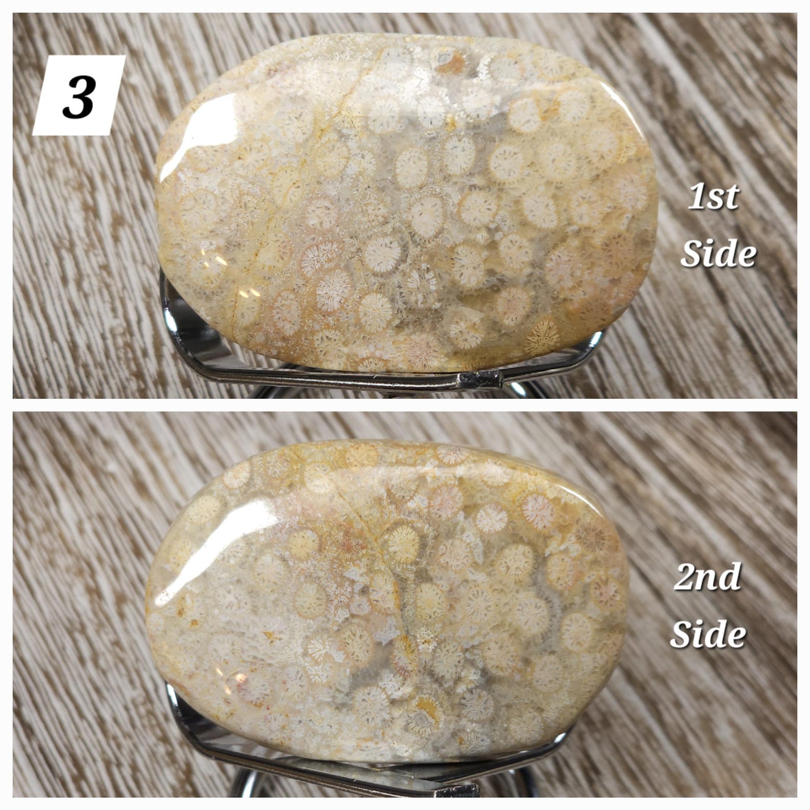 Fossilized Coral Palm Stone | Coral Jasper | Coral Jade - Etsy