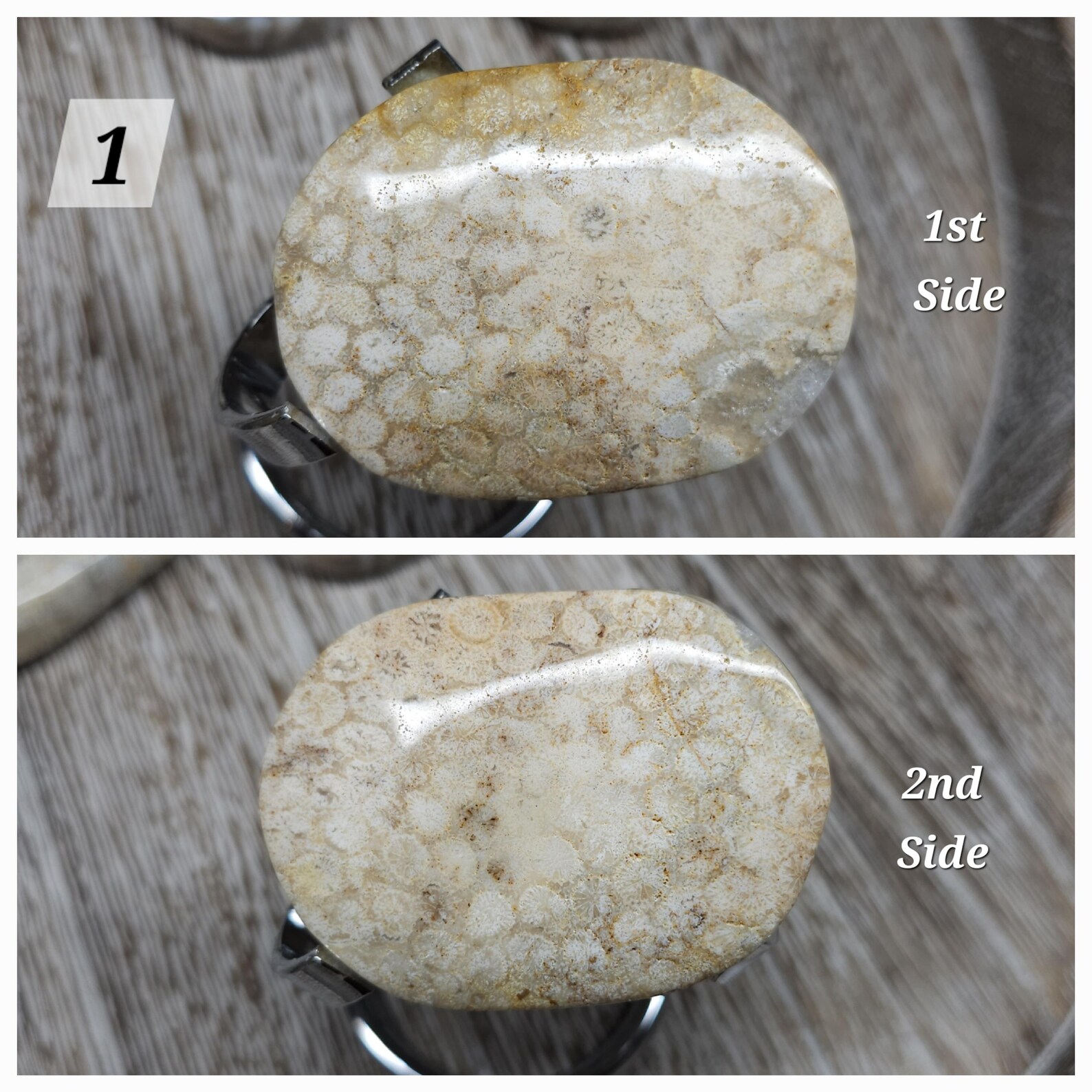 Fossilized Coral Palm Stone | Coral Jasper | Coral Jade - Etsy