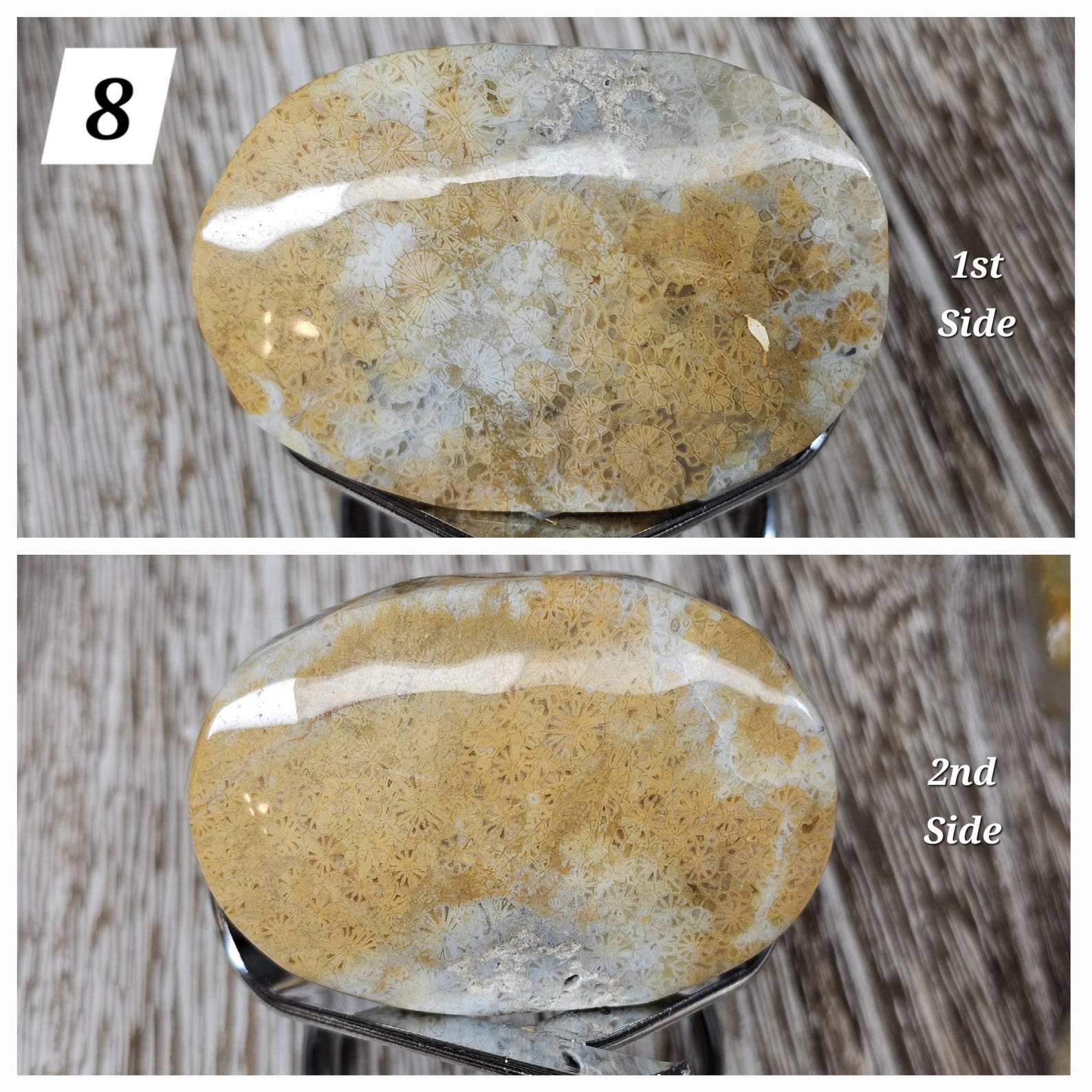 Fossilized Coral Palm Stone | Coral Jasper | Coral Jade - Etsy