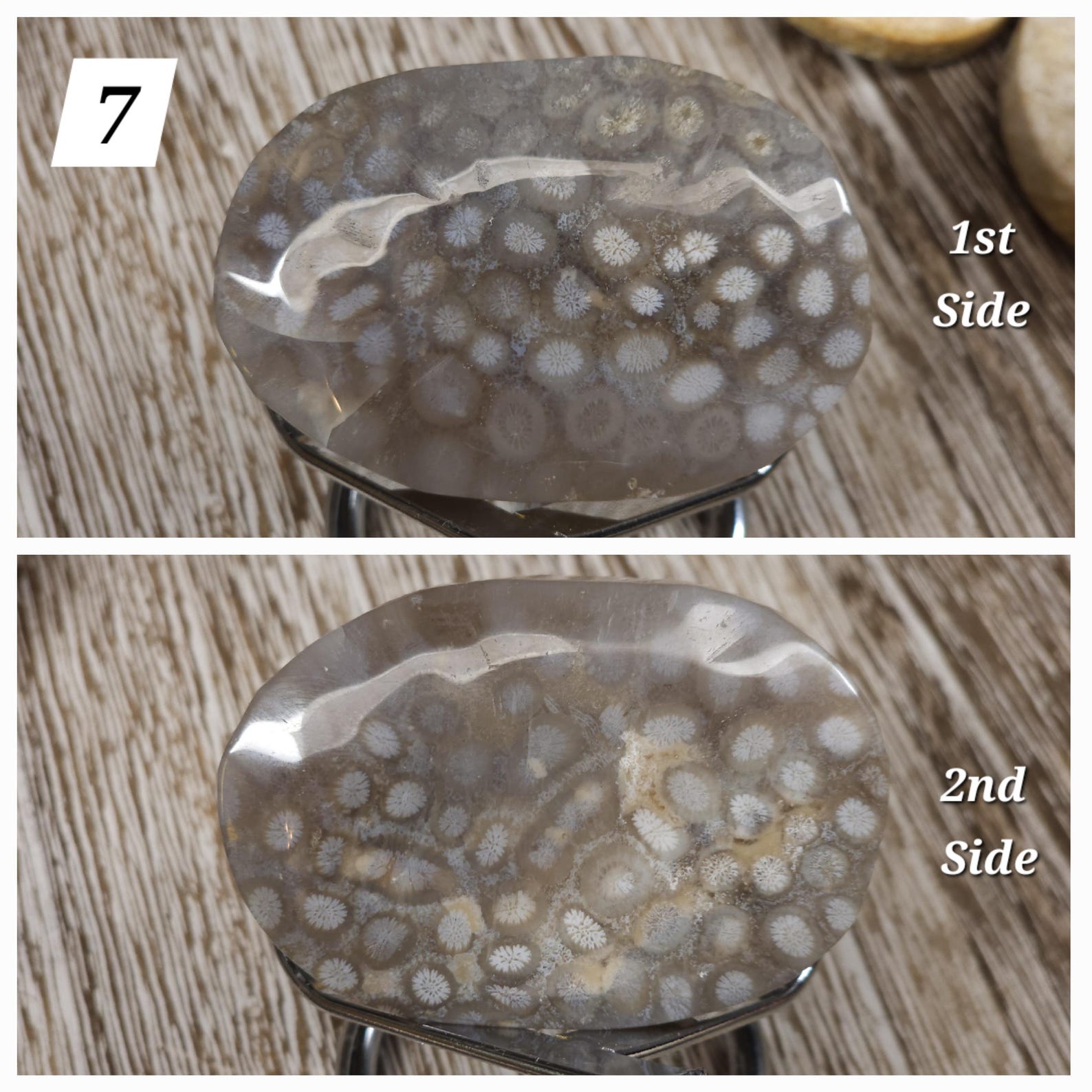 Fossilized Coral Palm Stone | Coral Jasper | Coral Jade - Etsy