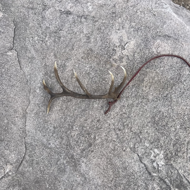 Antler Hunting Mirror - Etsy