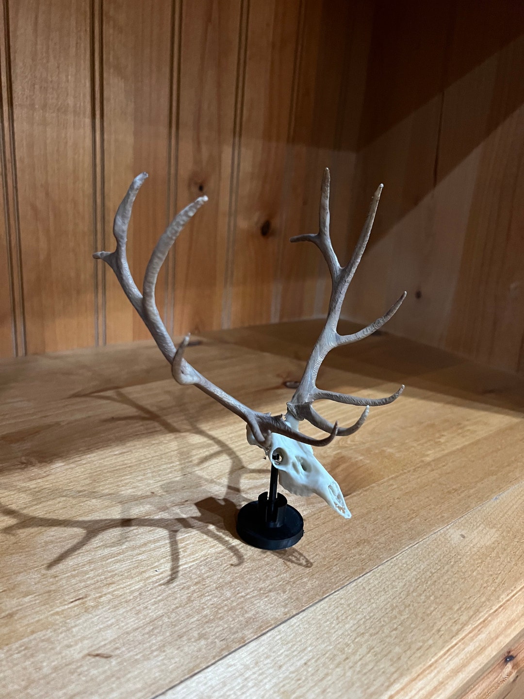 Trophy Bull Elk - Etsy