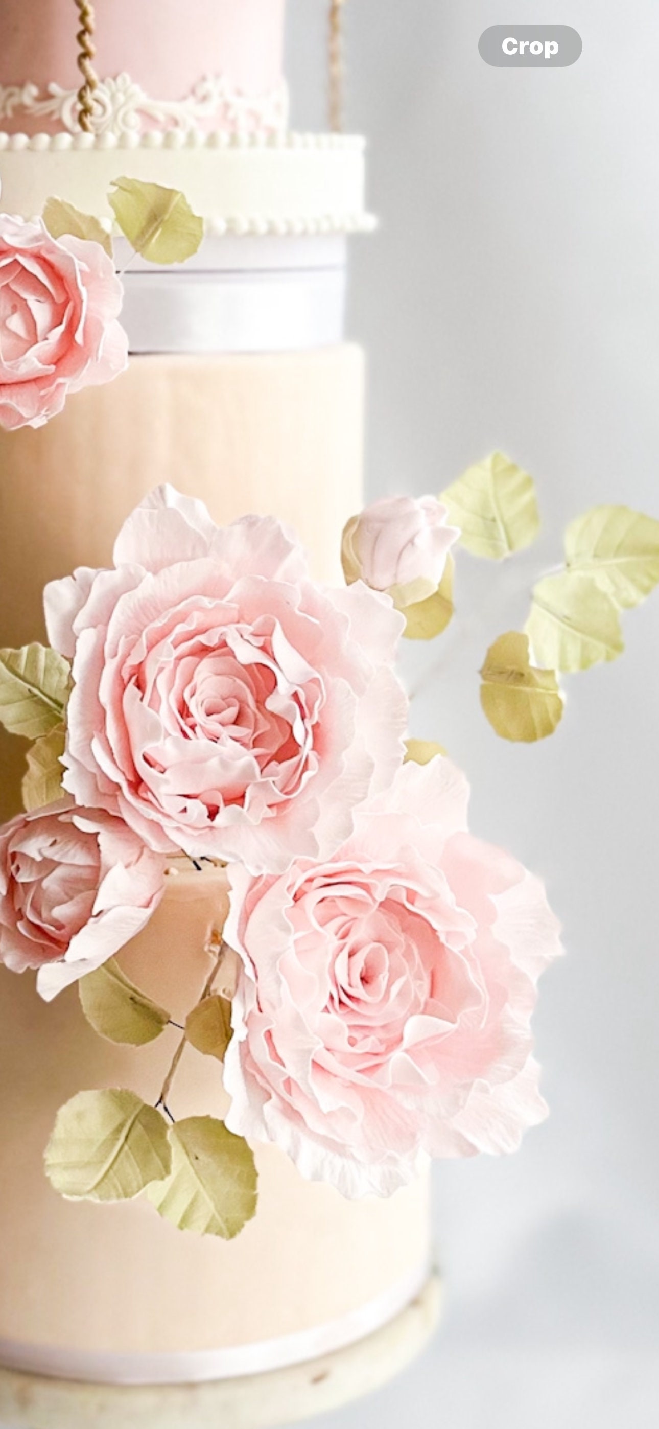 Sugar Paste Leaves, Wedding Cakes, Wedding Decor , Cake Toppers ...