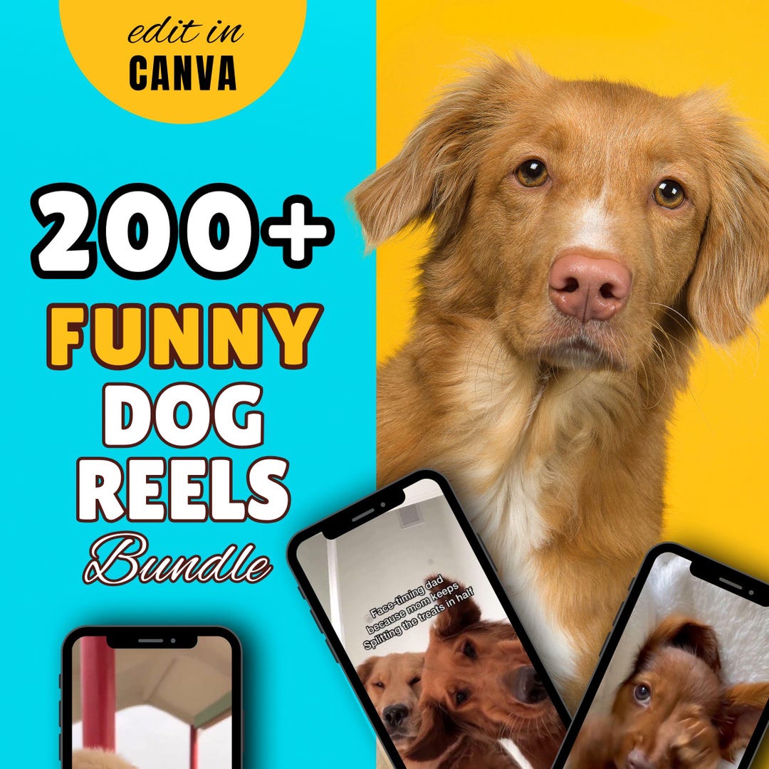 200+ Funny Dog Reels Bundle | Viral Pet Videos | Faceless Dog Reels for ...