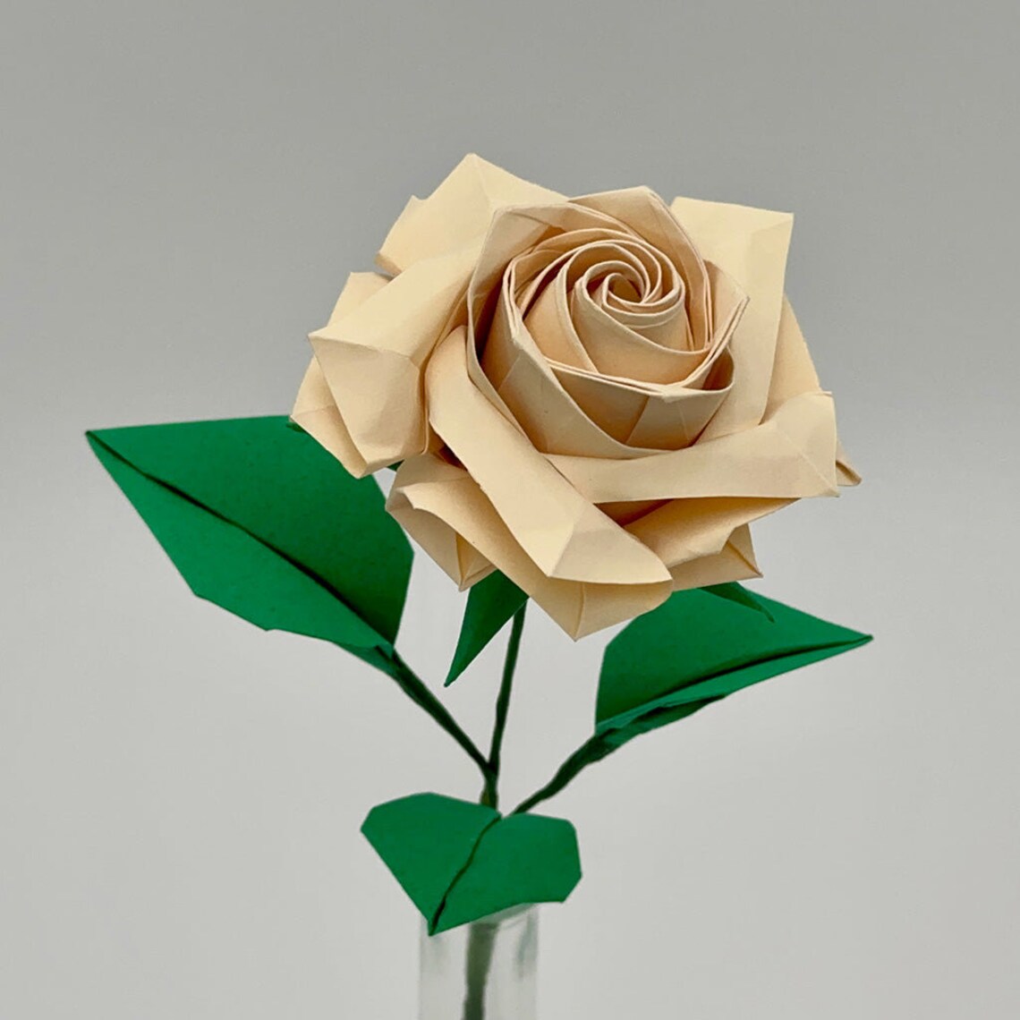 Cream Japanese Hybrid Tea Rose - Etsy