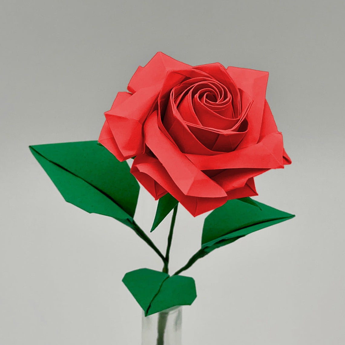 Cream Japanese Hybrid Tea Rose - Etsy