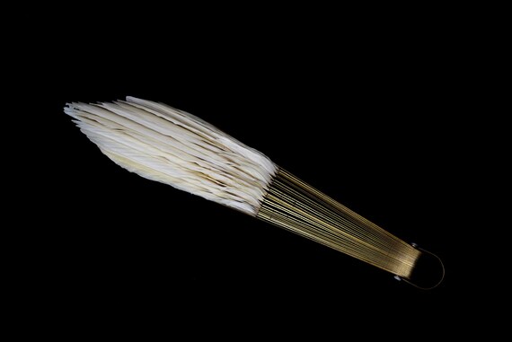 Antique Feather Hand Fan from Early 1900s - Gem