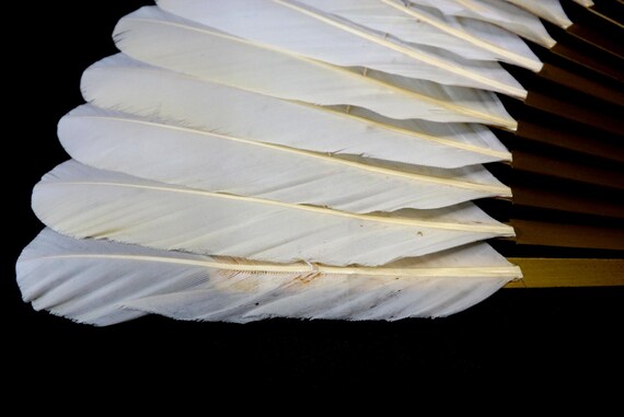 Antique Feather Hand Fan from Early 1900s - Gem