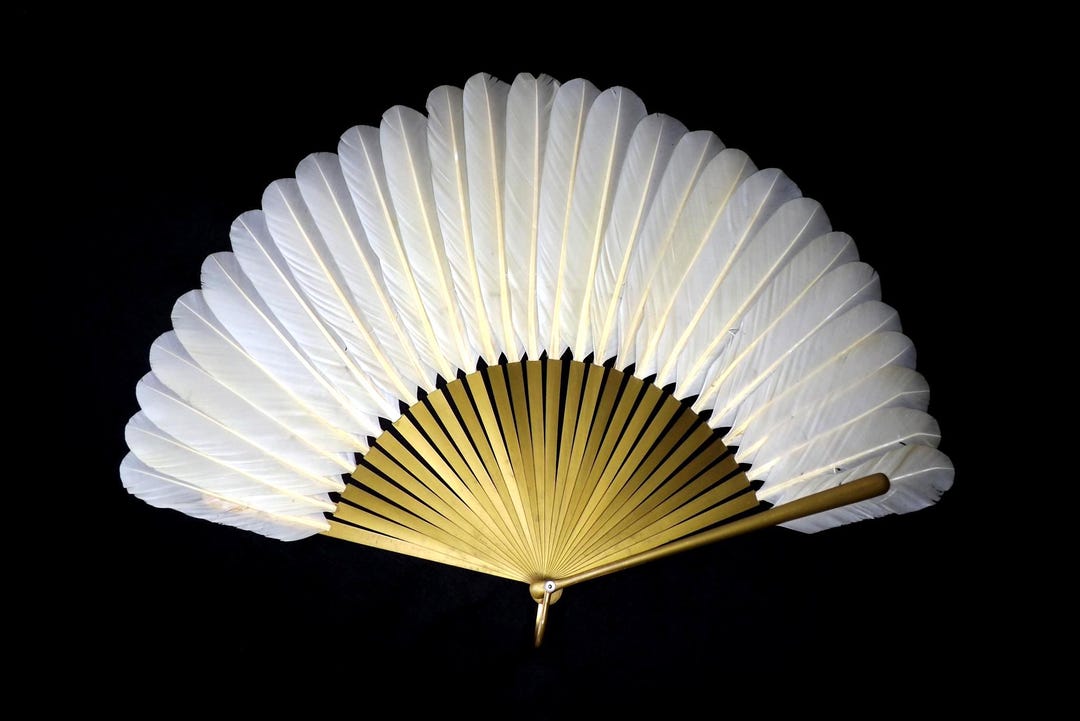 Antique Feather Hand Fan From Early 1900s - Etsy