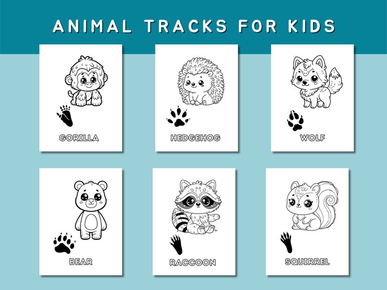 Animal Tracks Coloring Book for Kids,wildlife Footprint,nature Study ...