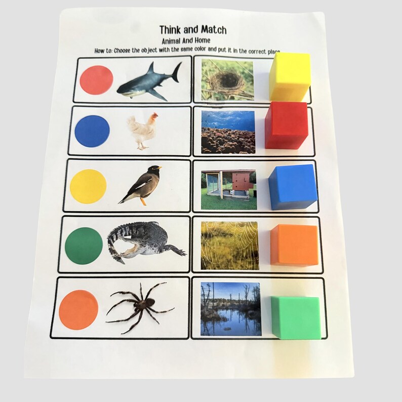 Matching Brain Activity, Think and Match Worksheet,development ...