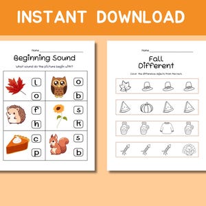 Fall Activity for Kids, Homeschool Learning, Toddler Activity, Toddler ...