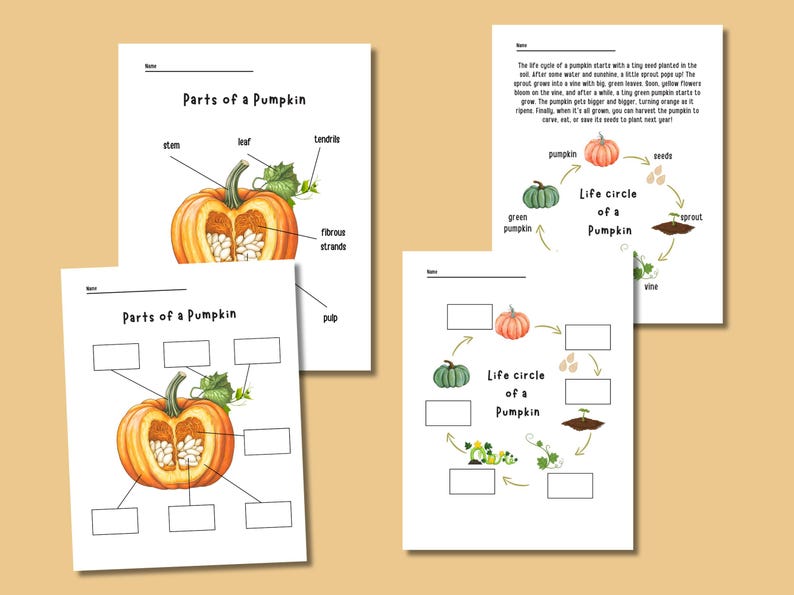 Pumpkin Unit Study, Educational Activities for Preschool, Science, Life ...