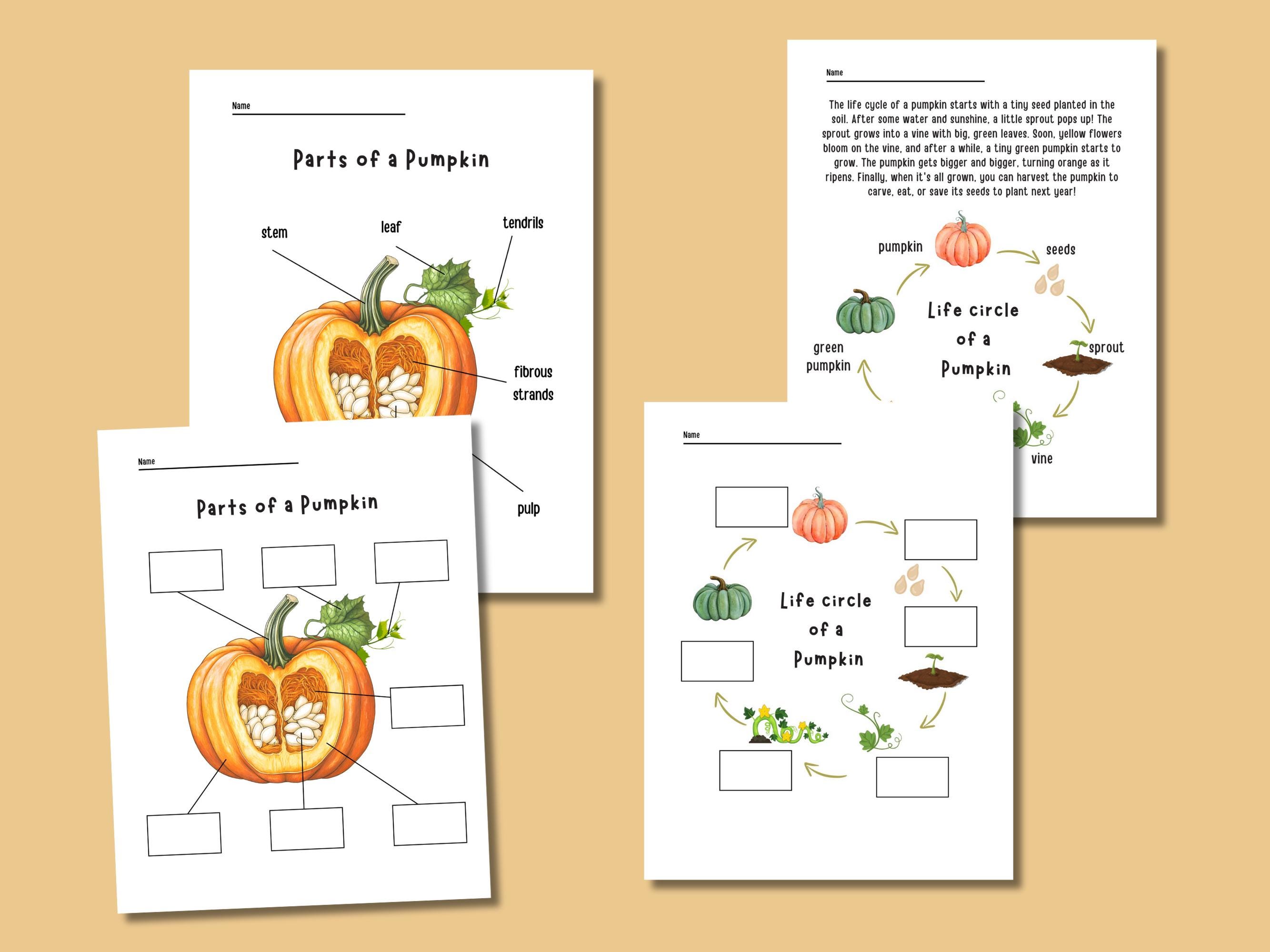 Pumpkin Unit Study, Educational Activities for Preschool, Science, Life ...