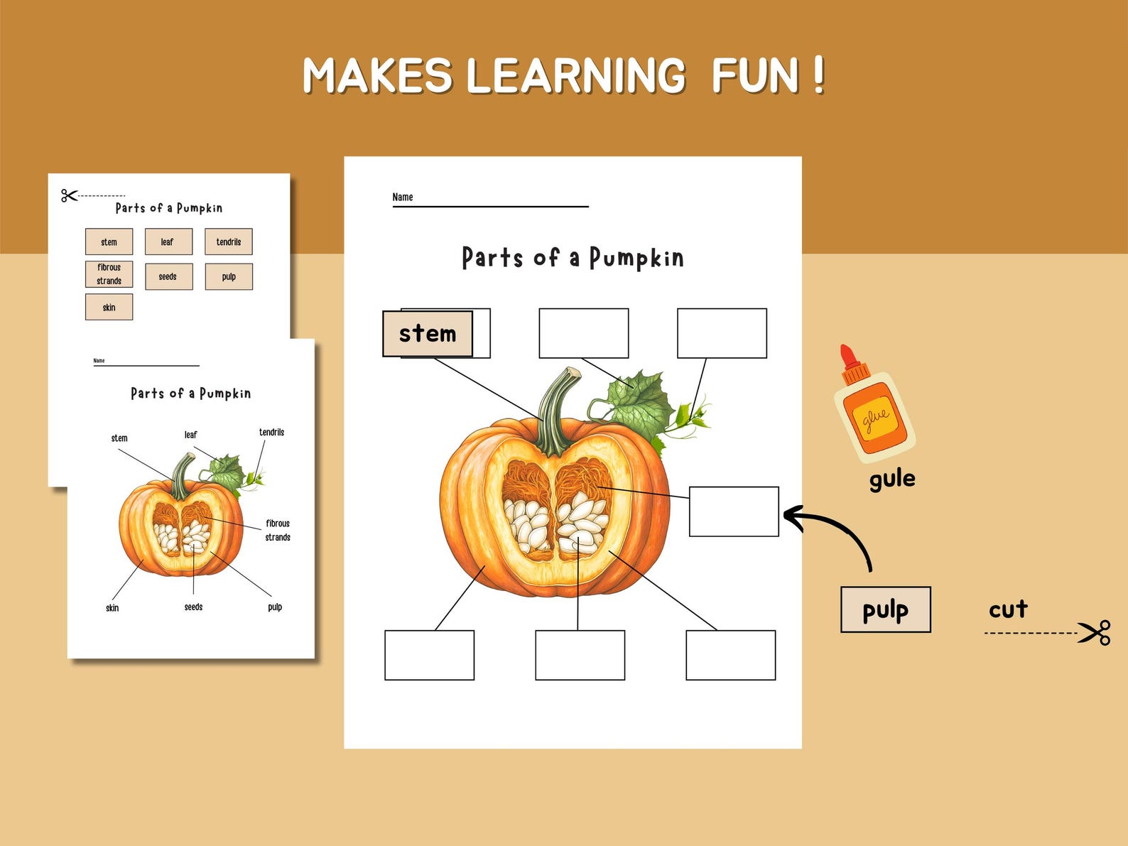 Pumpkin Unit Study, Educational Activities for Preschool, Science, Life ...