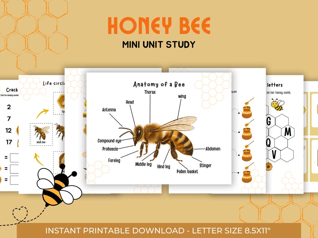 Honey Bee Mini Unit Study, Life Cycle, Anatomy,educational Activities ...