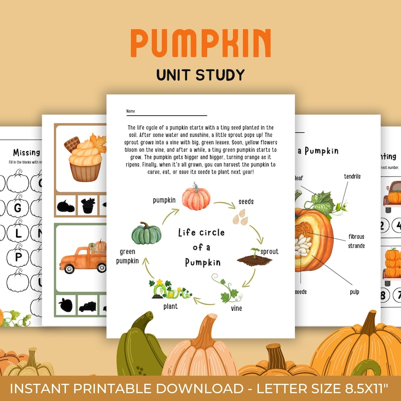 Pumpkin Life Cycle Kindergarten - Etsy UK