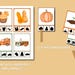 Pumpkin Unit Study, Educational Activities for Preschool, Science, Life ...