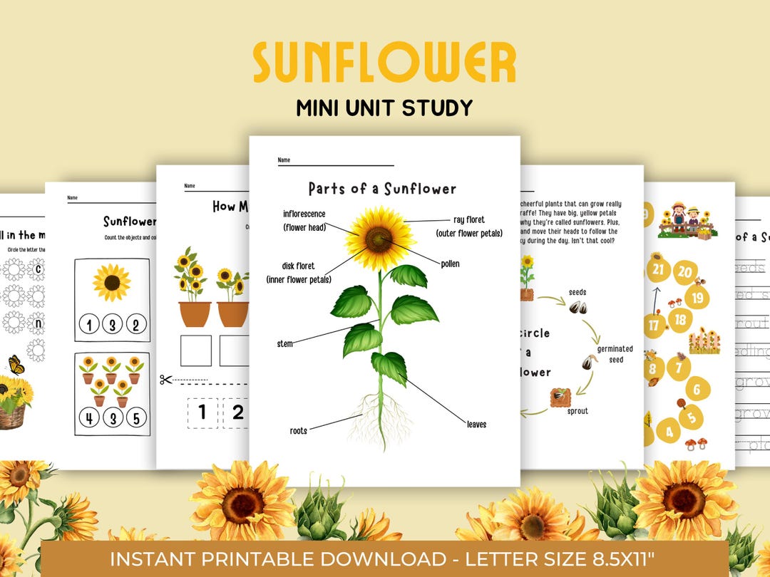 Sunflower Mini Unit Study, Educational Activities for Preschool ...