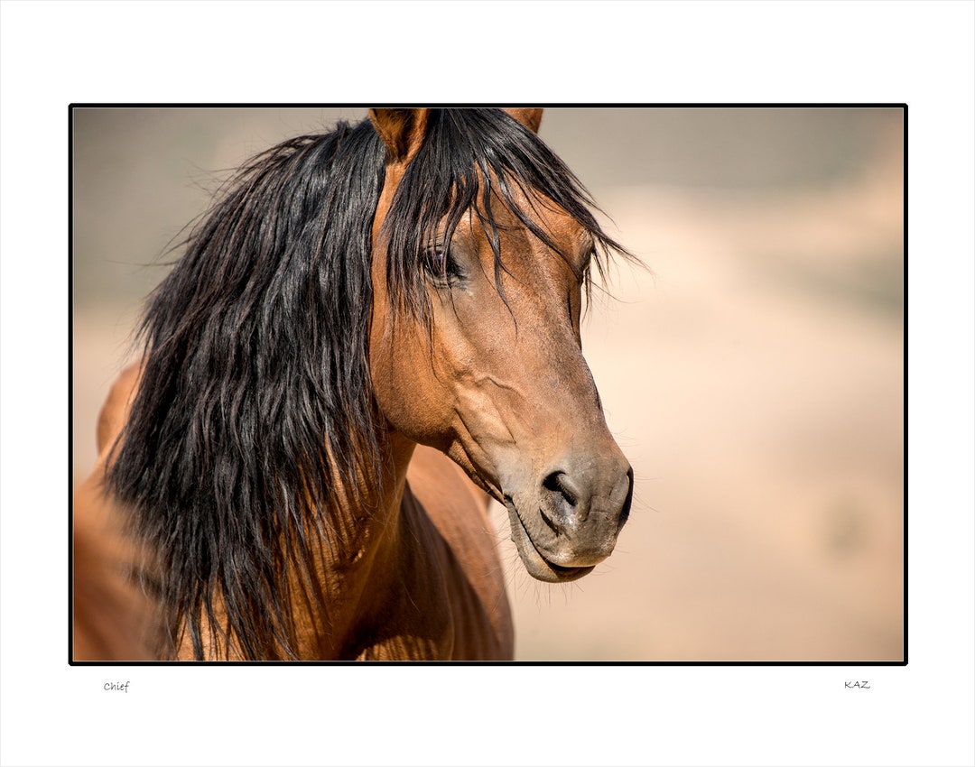 Chief: Wild Mustangs - Etsy