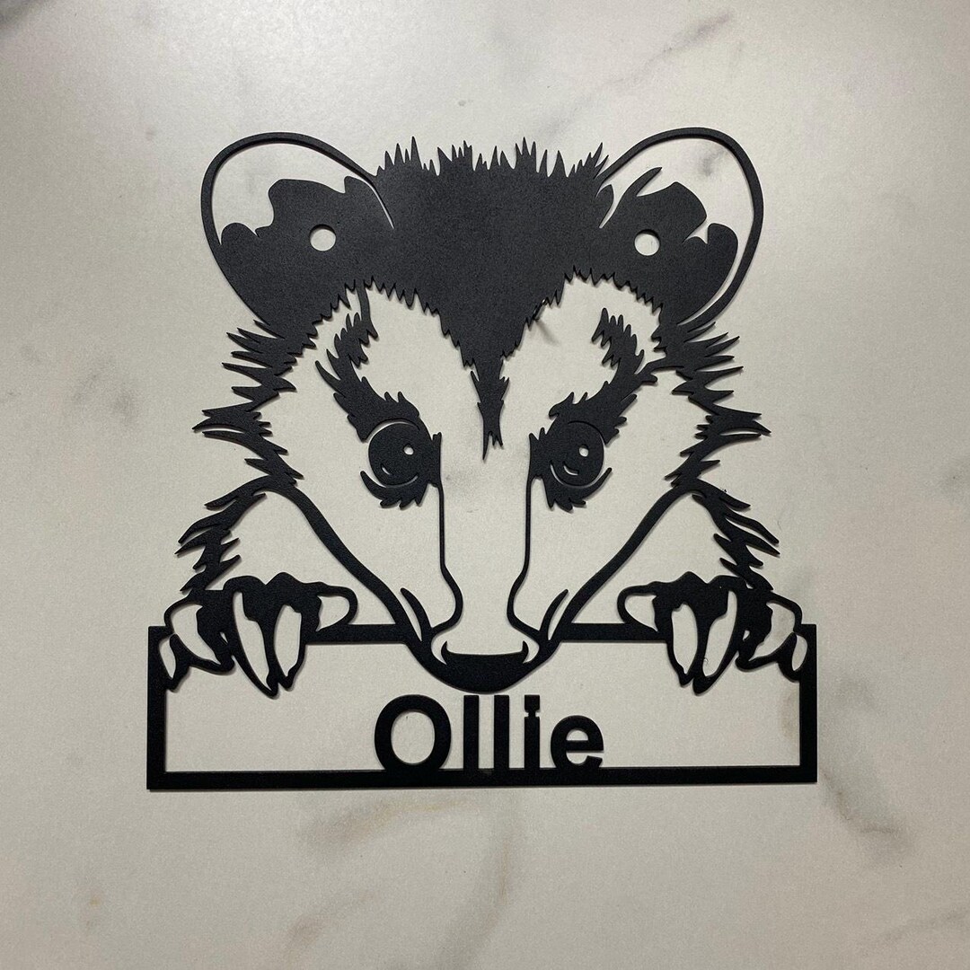 Custom Opossum Metal Wall Art, Opossum Metal Wall Sign Decor, Opossum ...