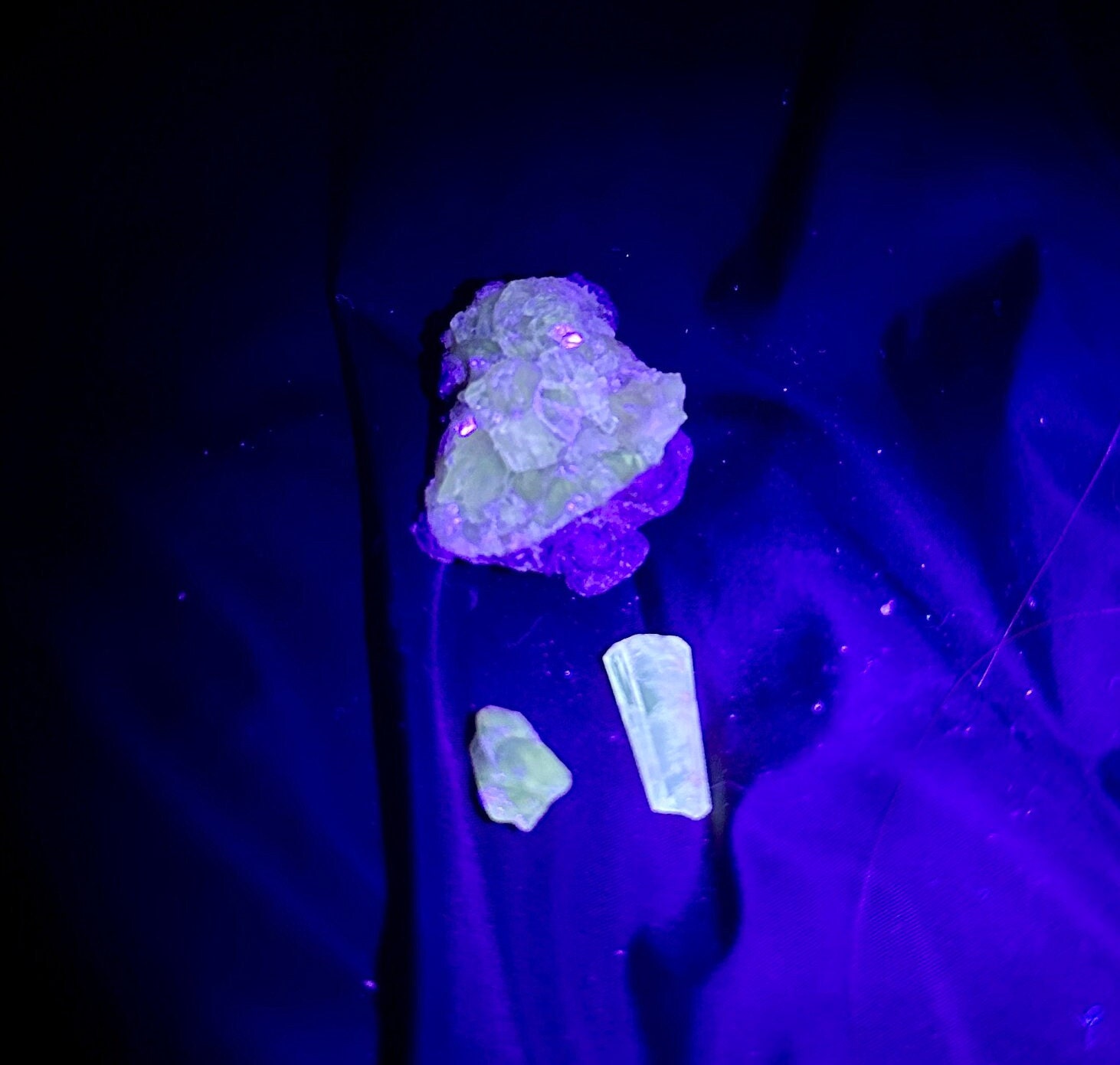 Assortment: Shark Teeth, Stingray Teeth, and Calcite - Etsy