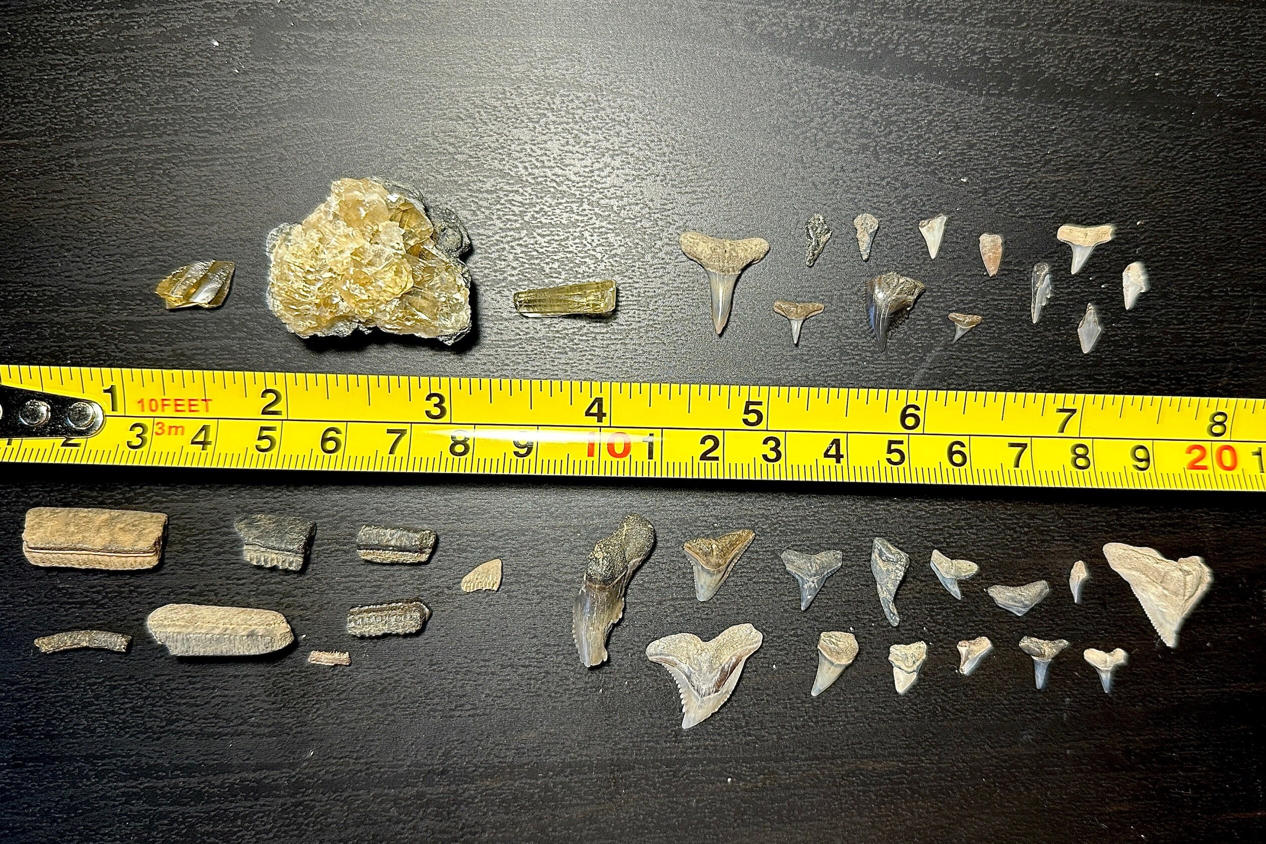 Assortment: Shark Teeth, Stingray Teeth, and Calcite - Etsy