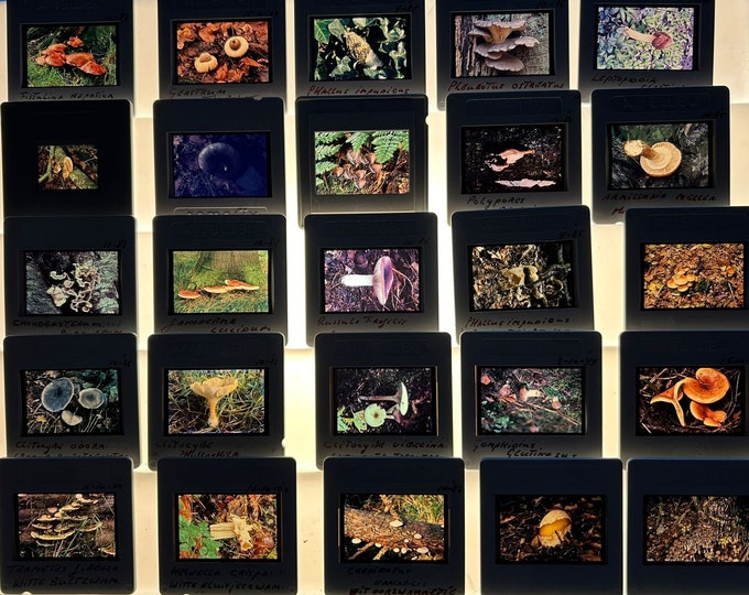 Vintage Kodak Kodacolor Slide Frames Film Pictures Photos - Etsy