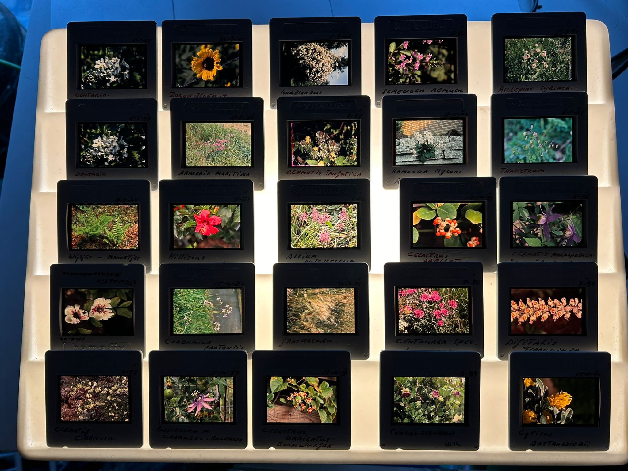 Vintage Film Slides, 70's 80's & 90's - Etsy