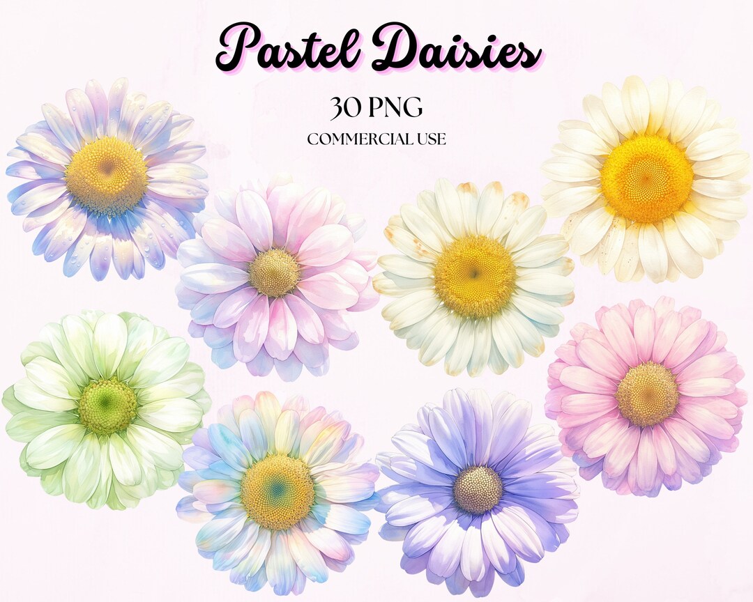 Daisy Clipart, Watercolor Pastel Daisies Clipart, Spring Flower ...