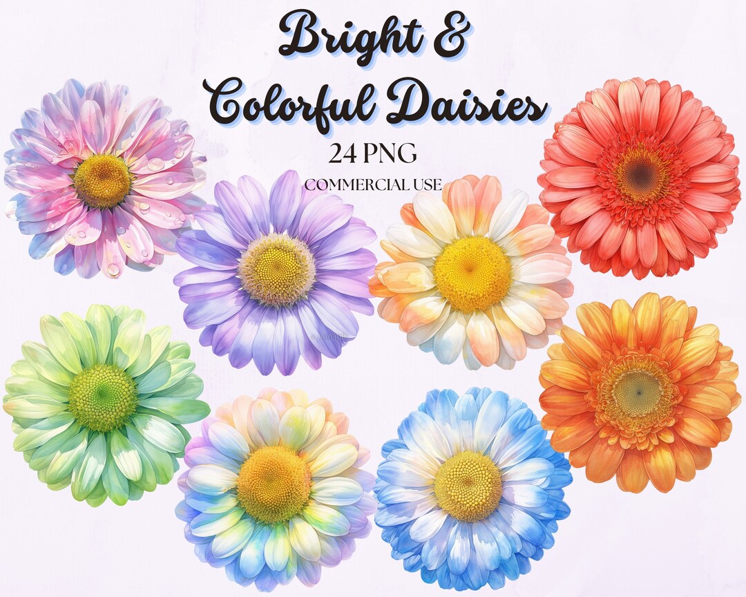 Watercolor Daisy Clipart, Bright and Colorful Daisies, Vivid Color ...