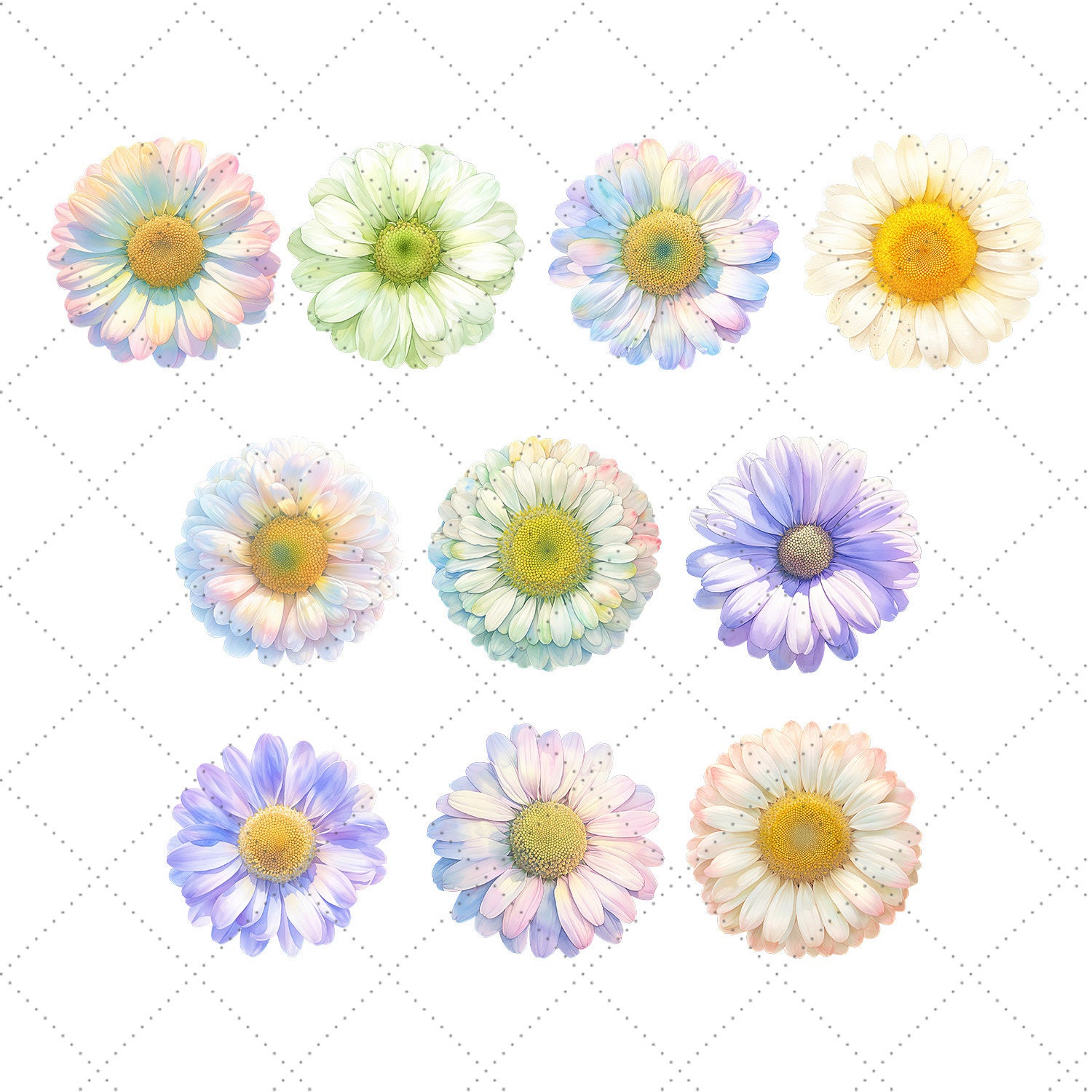 Daisy Clipart, Watercolor Pastel Daisies Clipart, Spring Flower ...