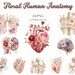 Floral Anatomy Watercolor Clipart: Lung, Heart, Skull, Brain Digital ...