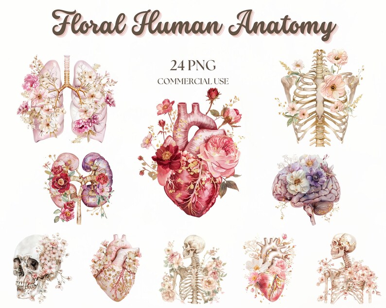 Floral Anatomy Watercolor Clipart: Lung, Heart, Skull, Brain Digital ...