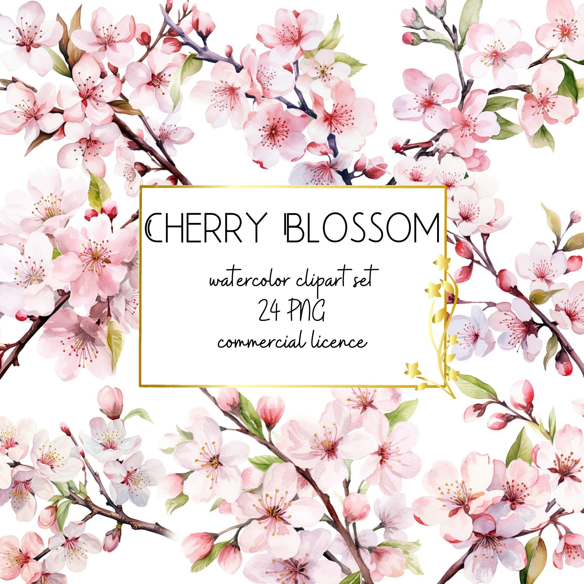 Cherry Blossom Watercolor Clipart Bundle, Watercolor Sakura Clipart ...