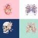 Floral Anatomy Watercolor Clipart: Lung, Heart, Skull, Brain Digital ...