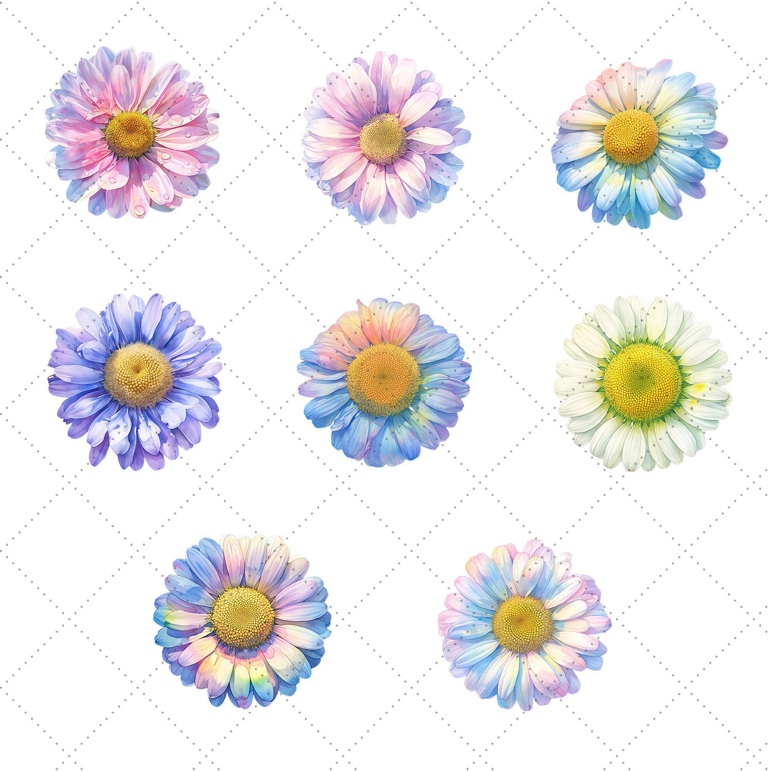 Watercolor Daisy Clipart, Bright and Colorful Daisies, Vivid Color ...