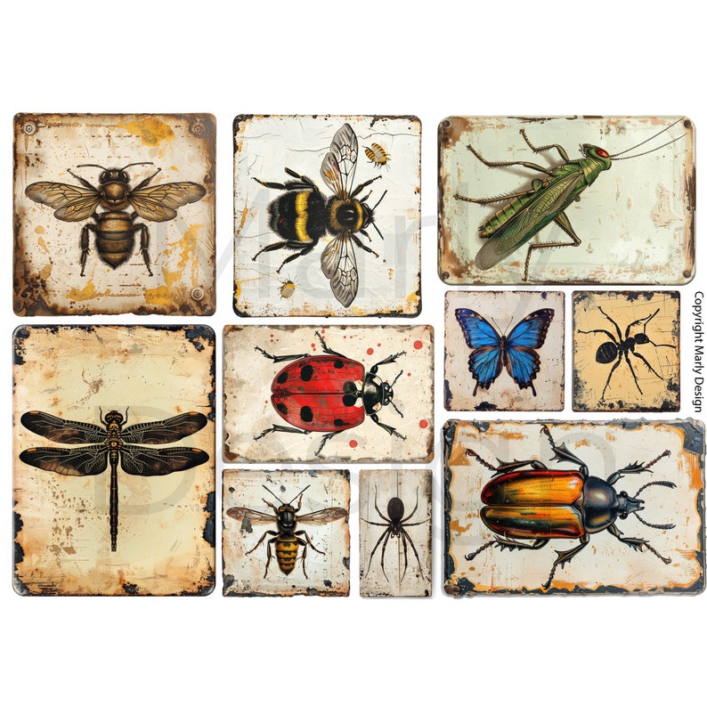 Insect Junk Journal Ephemera Insect Tiles Vintage Ephemera Butterflies ...