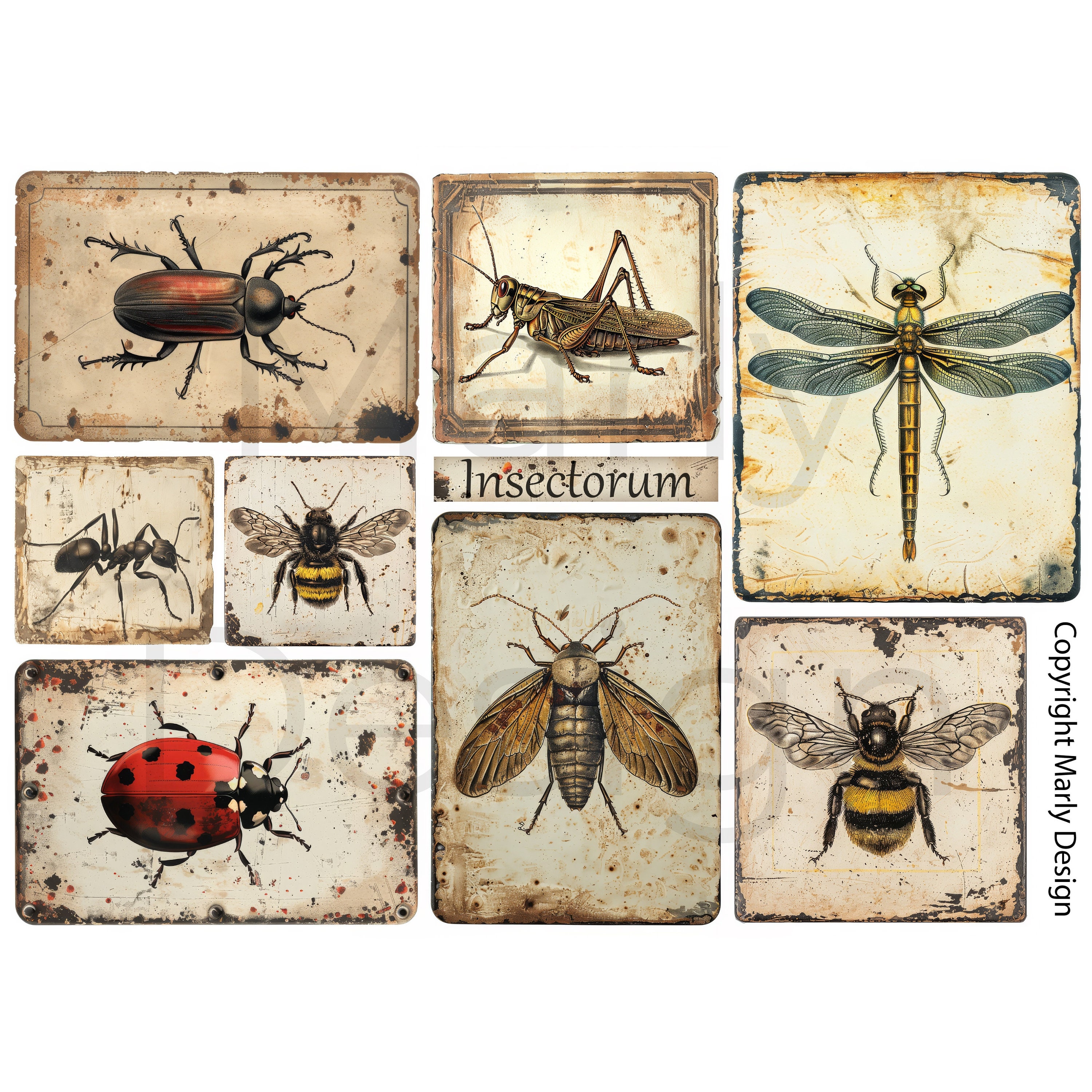 Insect Junk Journal Ephemera Insect Tiles Vintage Ephemera Butterflies ...
