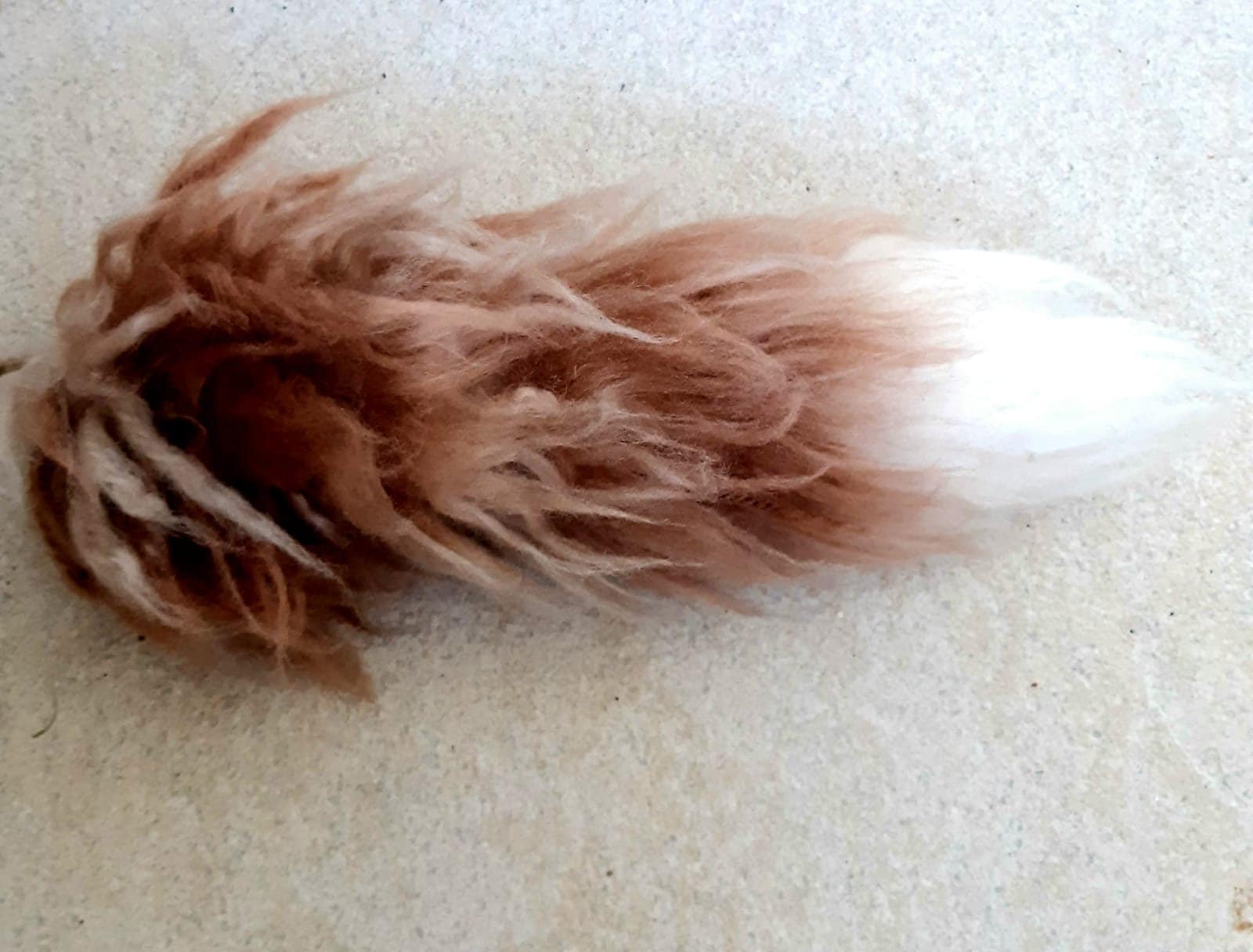 Make Your Own Therian Tail Instructions,make Your Own Tail,therian Tail ...