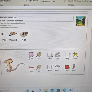 The Gruffalo English Planning and Resource Sheets EYFS/ Year 1 - Etsy