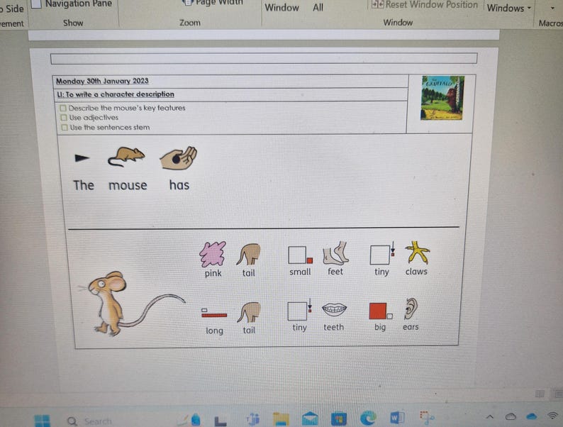 The Gruffalo English Planning and Resource Sheets EYFS/ Year 1 - Etsy
